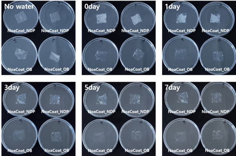 Stability in water - Noanix Corporation En