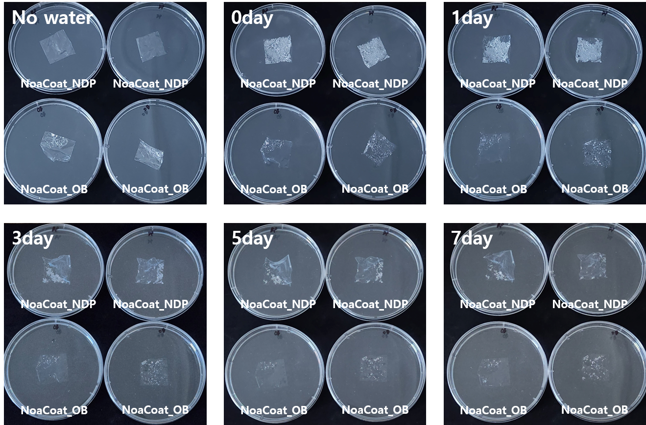 Stability in water - Noanix Corporation En